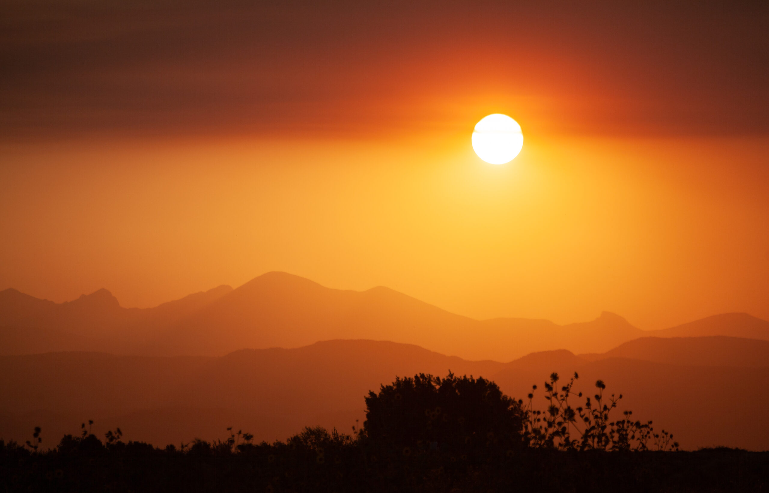 A note from the CEO | BSW Wealth Partners