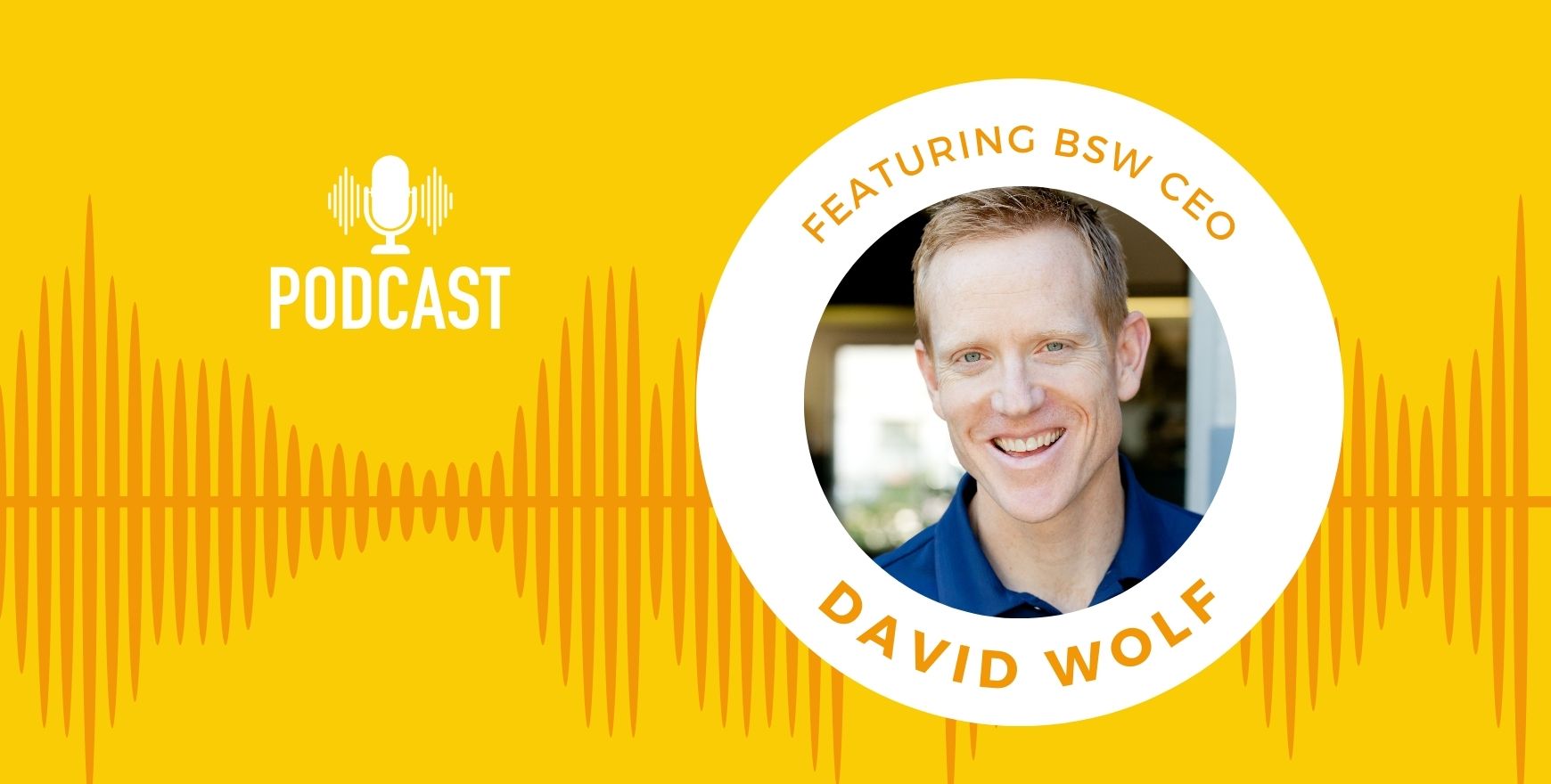 [PODCAST]: The Impact Sherpa with David Wolf! | BSW Wealth Partners